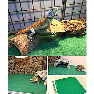 HERCOCCI 2 Pack Reptile Carpet, 39’’ x 20’’ Terrarium Bedding Substrate Liner Reptile Cage Mat Tank Accessories for Bearded Dragon Lizard Tortoise Leopard Gecko Snake (Green)