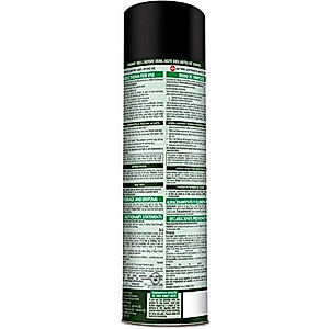 Spectracide Wasp and Hornet Killer Aerosol, 20-Ounce, 2-Pack