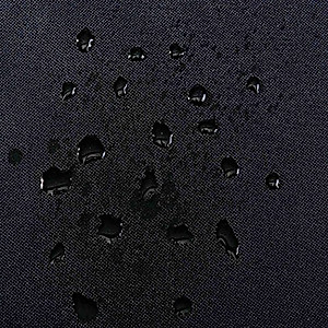 Classic Accessories Fairway Short Roof 2-Person Deluxe Golf Cart Enclosure, Black with Clear Windows