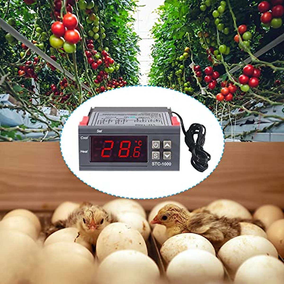 2pcs STC-1000 Digital Temperature Controller DC 12V 10A Digital LED Temperature Controller Thermostat Control Switch 2 Relay Output Cooling Heating and NTC Sensor Probe