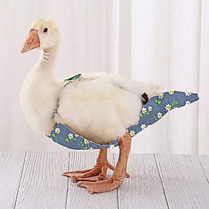 VIVEKATT Chicken Diaper, Pet Diaper for Chook Duck Goose, Washable Pet Diapers Bow Tie Duck Diapers Chicken Diaper for Poultry, 1 Count (Pack of 1)
