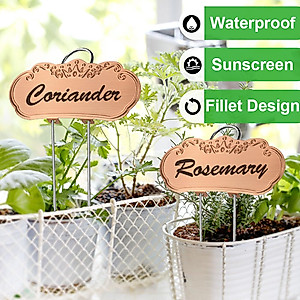 TCYPUHL Metal Plant Labels, Tall Plant Labels, Garden Labels Outdoors for Flower, Fruit and Vegetable, Stainless Steel, Weatherproof (25 Pack, 4'' x 1.10'', Gold)