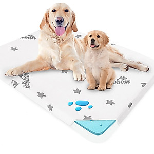 Biloban Dog Bed, 38" x 26", Waterproof, Memory Foam, Rectangular, White Star Pattern Mat for Large Dogs, Indoor Use