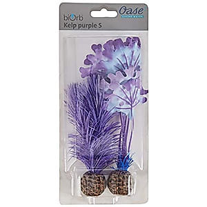 biOrb 46079.0 Kelp Set Small Purple Aquariums, 2 Piece Set