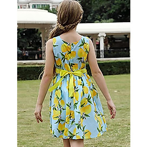 PrinceSasa Lemon Birthday Toddler Girl Clothes Cotton Dresses for Girls,E27,7-8 Years(Size 140)