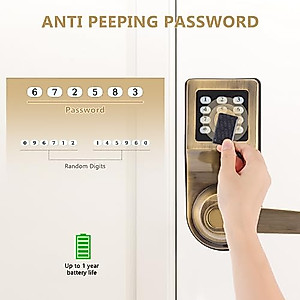 GOODUM Door Locks with Handle, keyless Door Locks, biometric Locks, Numerical keypad Door Locks, keypad Locks with Handle