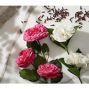 Yanbal Temptation Eau De Parfum