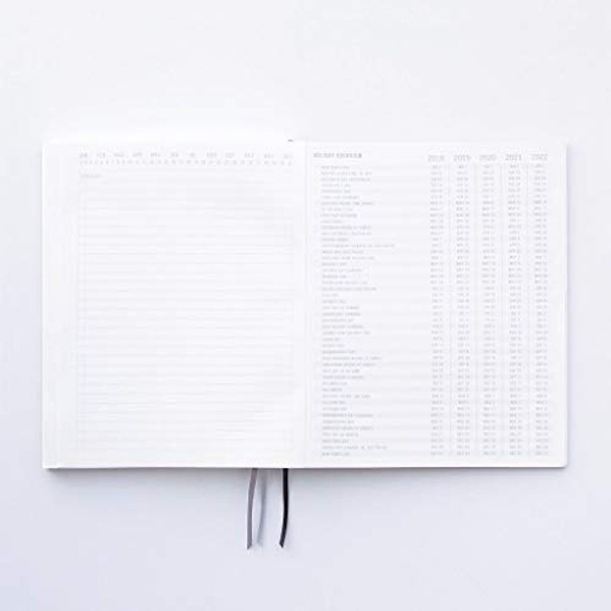 DesignWorks Ink Standard Issue Pink Planner Notebook No. 3 Journal with Lined Pages, Elastic Closure, Pen Holder, and 3 Ribbon Marker for Work, Writing, Journaling, 6.75" x 8.5"