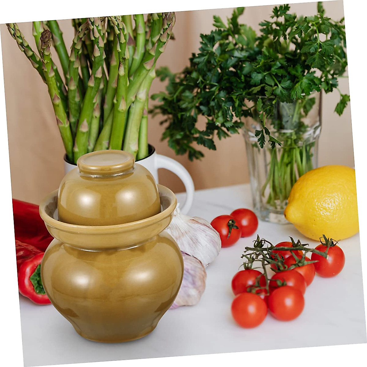 OUSIKA for Container Sealing Chinese Storage Canister Water Vegetables Cansiter with Pickled Egg Jars Sauerkraut Duck Tradition Bottle Crock Capacity Paocai Foods Pickle Jars