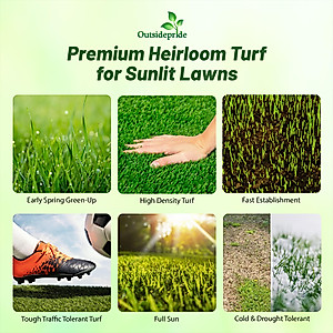 Outsidepride Full House Bermuda Grass Seed Mix - 2 lbs. Premium Warm Season Turf Blend of Traffic & Drought-Tolerant Monaco & Hollywood Bermuda Grass Seeds for Lawn, Golf Courses & Fairways