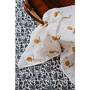 Malabar Baby Certified Organic Swaddle Blanket | Luxurious Cotton Muslin Blankets for Girls & Boys | Baby Receiving Swaddles for Newborns & Infants | Unique Shower Gift (Hot Air Balloon)