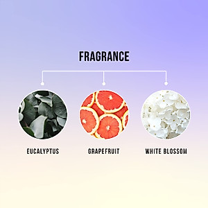 HASK Biotin Boost Thickening Shampoo, 12 Fl Oz