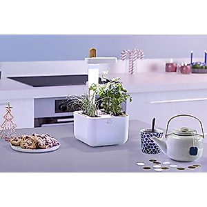Véritable Botaneo Eylo Garden - Indoor Garden - Kit with 2 Lingot Automatic LED Lighting