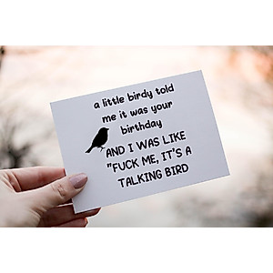 A Little Birdy Told Me It Was Your Birthday Card - Hilarious Birthday Card - Adult Birthday Card - Funny Birthday Card For Him/Her - Rude Card - Snarky Birthday Card - Greeting Card