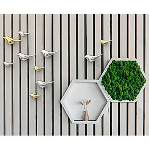 wood nymph 3D Bird Wall Decor with Metal Plating Texture,Gold Bird Wall Art,7Pcs DIY Hanging Bird Wall Decor for Pool Decor,Bathroom Decor,Bedroom Decor,Patio Decor,Kids Room Decor,Wedding Decor