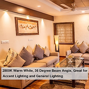 Rnyloas MR16 Halogen Bulb 50W Dimmable, High Brightness MR16 Bulb 12V Warm White 2800K with GU5.3 Base, MR16 GU5.3 Bulb 36° Beam Angle with Clear Glass Cover for Long Lasting Lifetime