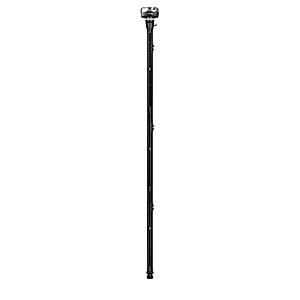 RAILBLAZA Kayak Extenda Pole (14-42in) for Lights, Cameras, Flags and Torches