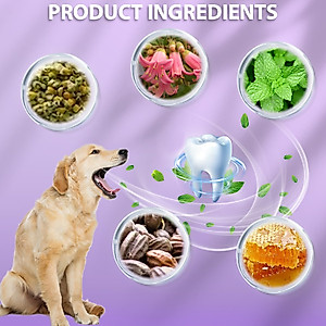 Pet Oral Repair Gel,Pet Oral Restoration White Gel,Pet Breath Freshener Gel No Brushing Oral Care Cleaner，Easy Teeth Cleaning Gel for Dogs & Cats,3ML (3box,6pcs)