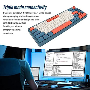 Gaming Keyboard, Multifunctional LK67 USB C Wired 67 Keys Mechanical Keyboard Comfortable Touch Blue for Work for Gaming (Silver Switch)