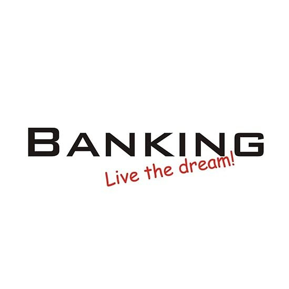 CafePress Banking/Dream! Mug Ceramic Coffee Mug, Tea Cup 11 oz