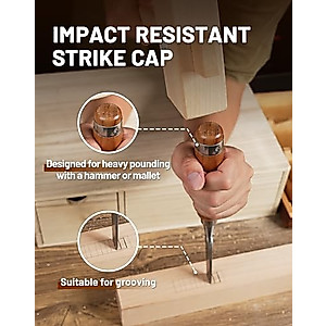 EZARC 6 Pieces Wood Chisel Tool Sets Woodworking Carving Chisel Kit with Premium Wooden Case for Carpenter Craftsman