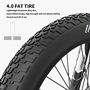 JUGTL Electric Bike Fat Tire 48V 15AH Removable Lithium Battery Mountain Bicycle Shimanos Bicycle Full Suspension MTB Bikes for Adults (Grey)