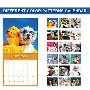 2023-2024 Wall Calendar - Cute Puppies Wall Calendar 2023-2024, Fun Dogs Wall Calendar, Jan. 2023 - Jun. 2024, 12'' x 12'' (Closed), 12'' x 24'' (Open), Dog Calendar, Hanging Hole, Holidays