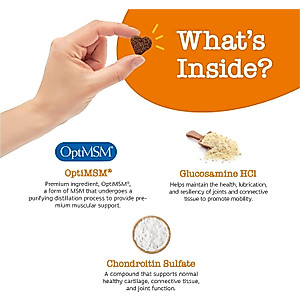 Generic Mobility Bites for Dogs, Hip and Joint, All Ages, Duck, 90 Soft Chews, 12.7 oz (360 g), neutral