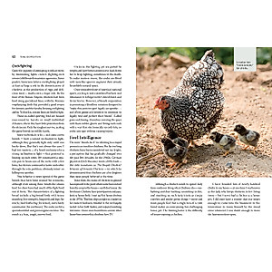 Storey's Guide to Raising Chickens, 4th Edition: Breed Selection, Facilities, Feeding, Health Care, Managing Layers & Meat Birds