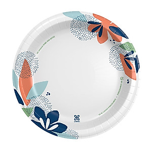 Dixie 10 Inch Paper Plates, Dinner Size Printed Disposable Plate, 204 Count (3 Packs of 68 Plates)