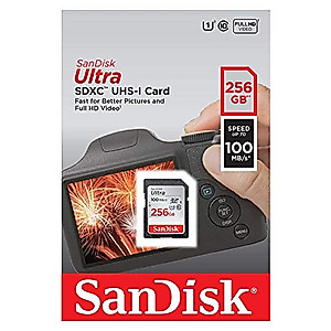 SanDisk 256GB SDXC SD Ultra Memory Card Works with Canon EOS Rebel T7, Rebel T6, 77D Digital Camera Class 10 (SDSDUNR-256G-GN6IN) Bundle with (1) Everything But Stromboli Combo Card Reader