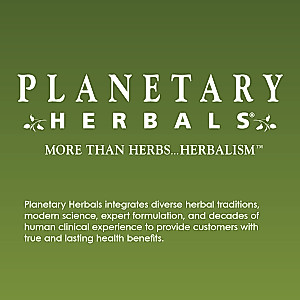 Planetary Herbals Turmeric Gold 500 Mg, 120 Count