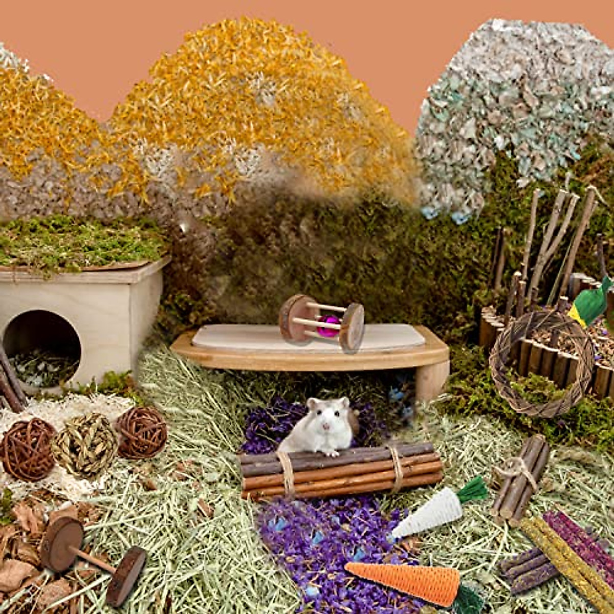 13PCS Guinea Pigs Toys, Rabbit Toys Set Natural Wooden Hamster Toys for Teeth Care, Best Choose for Rabbit Guinea Pig Rat Bunny Chinchillas Gerbils Chew