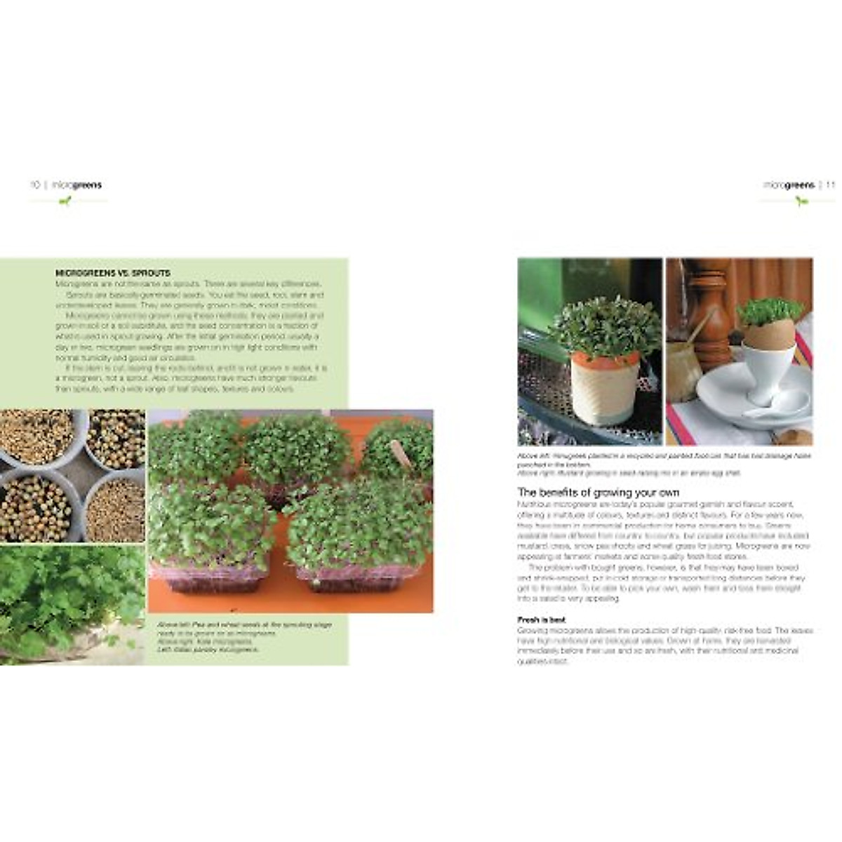 Microgreens: How to Grow Nature's Own Superfood