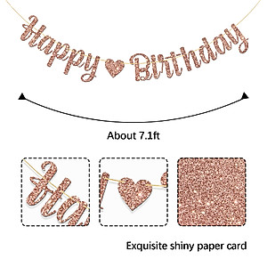 MonMon & Craft Happy Birthday Banner / Children Adults Boys Girls Birthday Party Decor / Birthday Party Decorations Rose Gold Glitter
