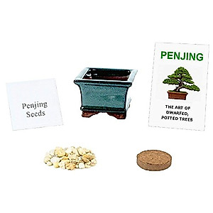 Eve's Garden Pomegranate Penjing Seed Kit, The Chinese Art of Bonsai, Complete Kit to Grow Fruit-Bearing Pomegranate Penjing from Seed