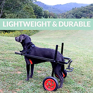 Best Friend Mobility Pro Series Dog Wheels for Back Legs Hyperlight Fiber Side Arms All Terrain Foam Tires for All The Dogs - Chair Only (Medium)