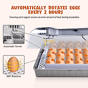 Incubators for Hatching Eggs, 20 Egg Incubator with Temperature & Humidity Display, Automatic Egg Turner and Water Adding, Temperature Control, with LED Egg Candler, for Hatching Chickens, Duck, Quail