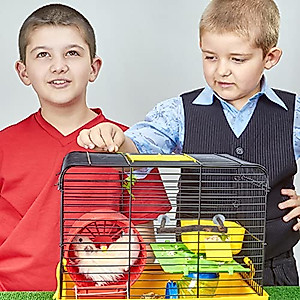 PATKAW Stand Cage Accessories Cage Accessories 2 Pieces Parrot Perches for Parrot Perches Wood Parrot Perches Parrot Medium Wood Water Bottle Accessories Water Jug Bird