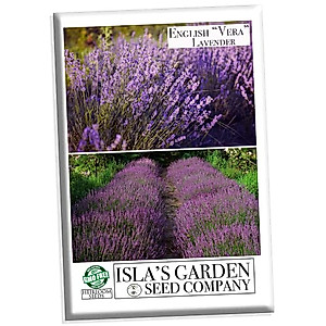 English "Vera" Lavender Seeds for Planting, 1000+ Seeds Per Packet, (Isla's Garden Seeds), Non GMO & Heirloom Seeds, Botanical Name: Lavandula angustifolia, Great Herb Garden Gift