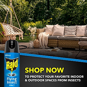 Raid S C Johnson Wax 81666 Fly/Insect Killer, 18-Ounce