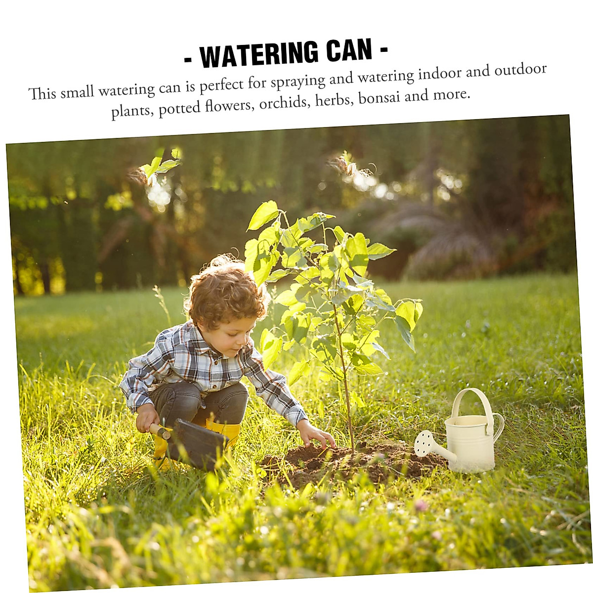 10 pcs Pour and Sprinkler Can Mini Spout Galvanized Plant Portable Yard Tin Pot Succulents Long Bucket Small for Cans Shabby Spray Kettle Display Metal Watering Sturdy