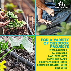 Gray Bunny Landscape Staples, 100 Pack, 6 Inch (15.2 cm) 11 Gauge Garden Stakes, Rust Resistant Galvanized Steel Ground U Shaped Pins to Secure Lawn Fabrics Weed Barrier Covers & Tubing