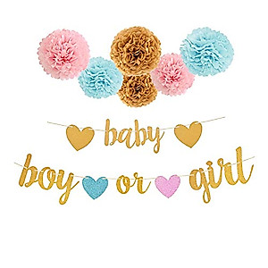 Aonor Gender Reveal Party Decorations - Glitter Letters Baby and BOY OR Girl with Hearts Banner, Tissue Paper Pom Poms Set for Baby Shower Party Decorations