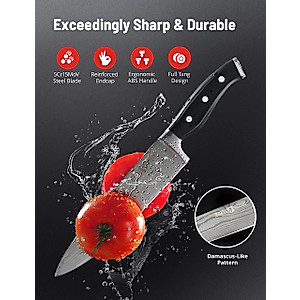 Kitchen Knife Set, PARIS RHÔNE 16-Piece High-Carbon Stainless Steel Knife Set with Block, Chef Knife, Bread Knife, Paring Knife, Built-in Sharpener, Ergonomic ABS Full Tang Handle, All-in-One