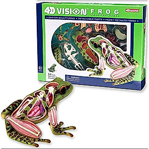 TEDCO 4D Vision Frog Anatomy Model