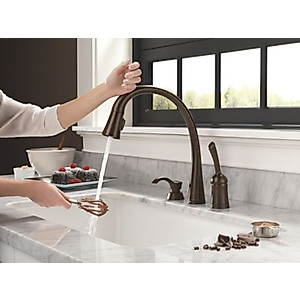 Delta Faucet Pilar Kitchen Soap Dispenser for Kitchen Sinks, Venetian Bronze RP50781RB