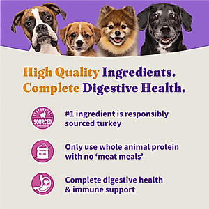 Halo Purely for Pets Holistic Dog Food, Complete Digestive Health Grain Free Cage-Free Turkey and Sweet Potato Recipe, Healthy Weight Support, Dry Dog Food Bag, Adult Formula, 10-lb Bag