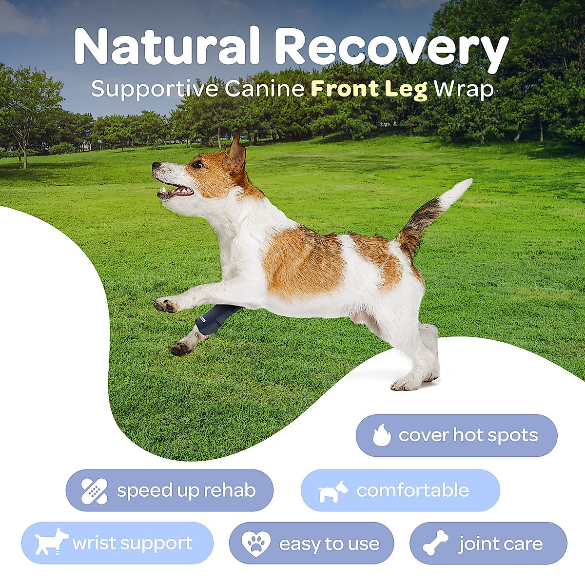 Labra Dog Canine Front Leg Compression Brace Wrap Sleeve, Protects Wounds, Braces, Heals, and Prevents Injuries and Sprains, Helps with Loss of Stability Caused by Arthritis - Large/Extra Large