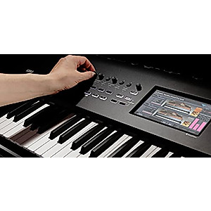 Korg Nautilus 61-Key Performance Synth Workstation Bundle with Sustain Pedal, MIDI Cables, and Austin Bazaar Polishing Cloth